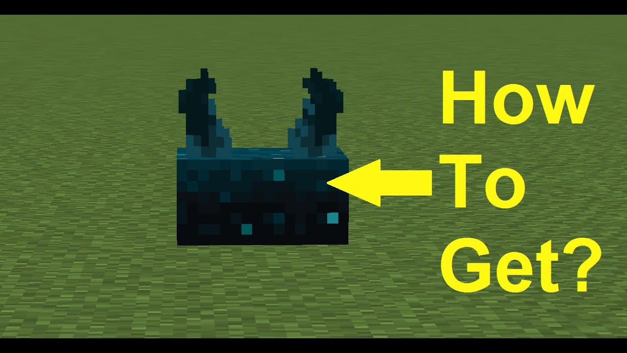 How To Get The Sculk Sensor in Minecraft 1.17! - YouTube
