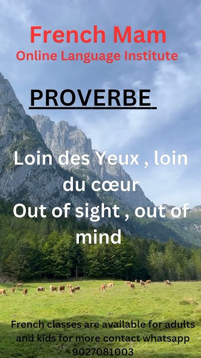 Proverbe en Français, French proverbs , French proverbs with English ...
