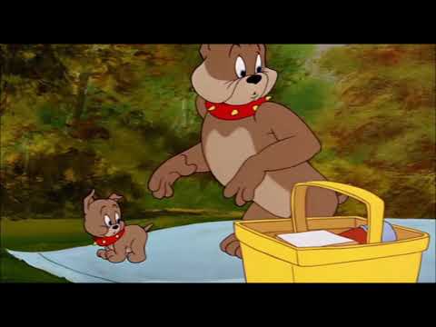 Tom and Jerry, 91 Episode   Pup on a Picnic 1955   YouTube
