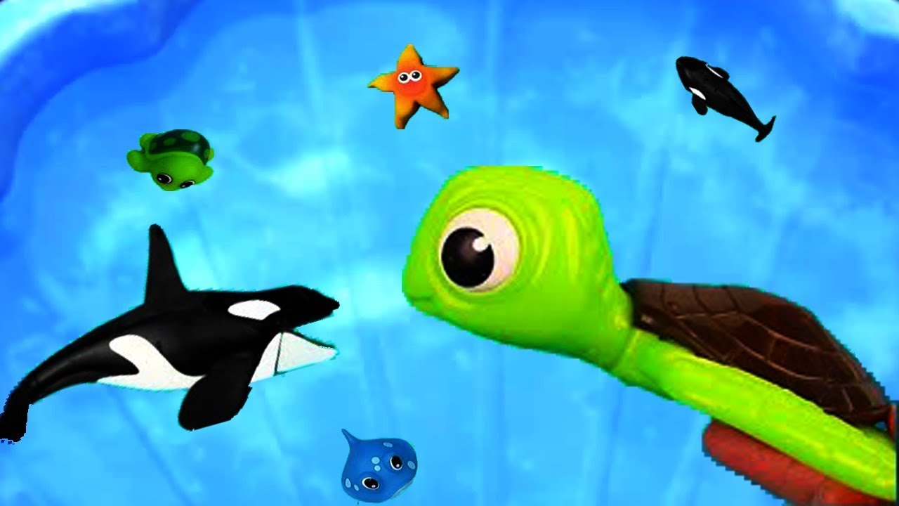 Learn Colors With Sea Wild Animals and Animal Names | Pool Water Colors ...