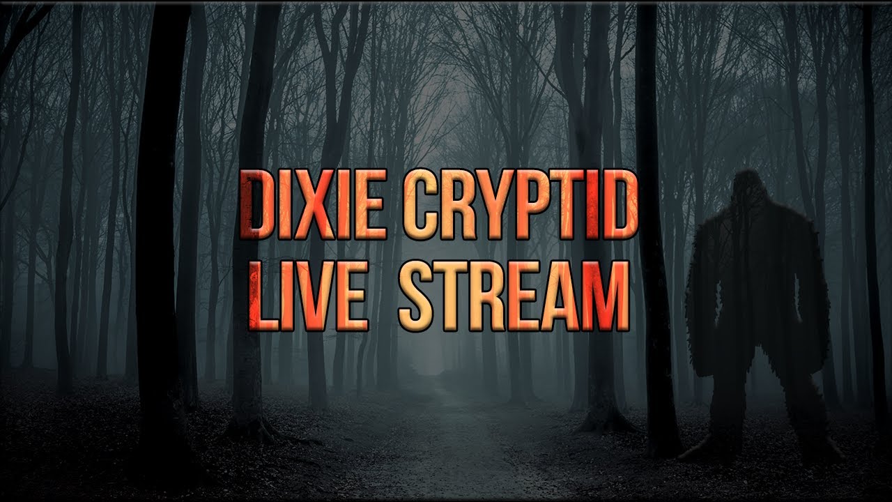 Dixie Cryptid Live. 100K Subscriber Celebration - YouTube