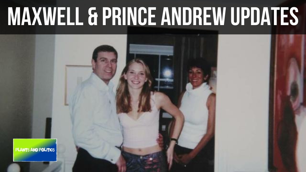 Maxwell and Prince Andrew Updates - YouTube