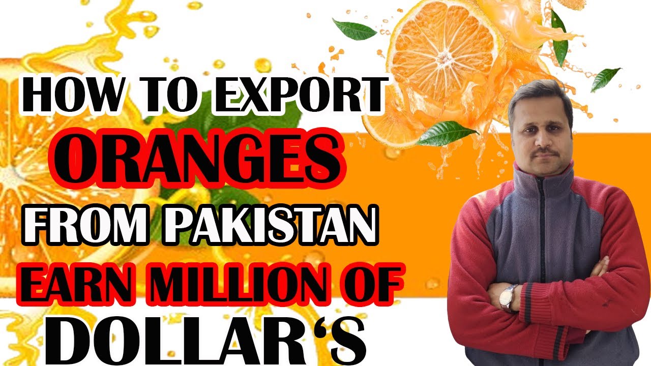 How to export oranges from pakistan || Learn import and export business ...