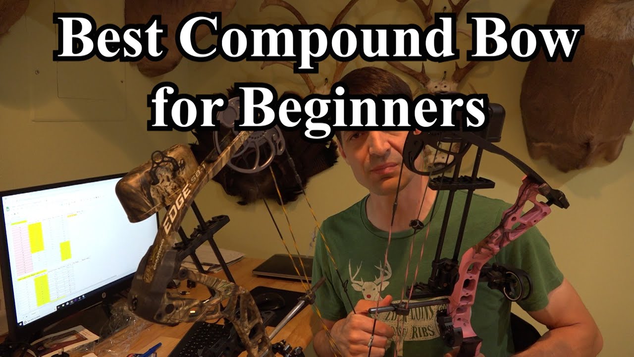 Best Bow to Use as a Beginner - YouTube
