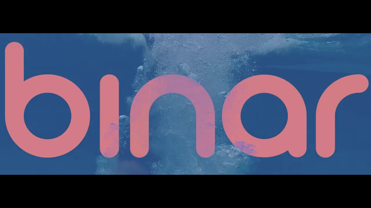 Binar - platform for music, art and culture, BNR, https://binar.bg ...