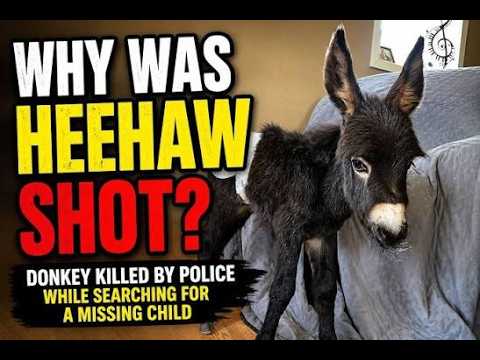 Police Kill Baby Donkey For Officer Safety - Police Refuse To Release Drone & Body cam Footage