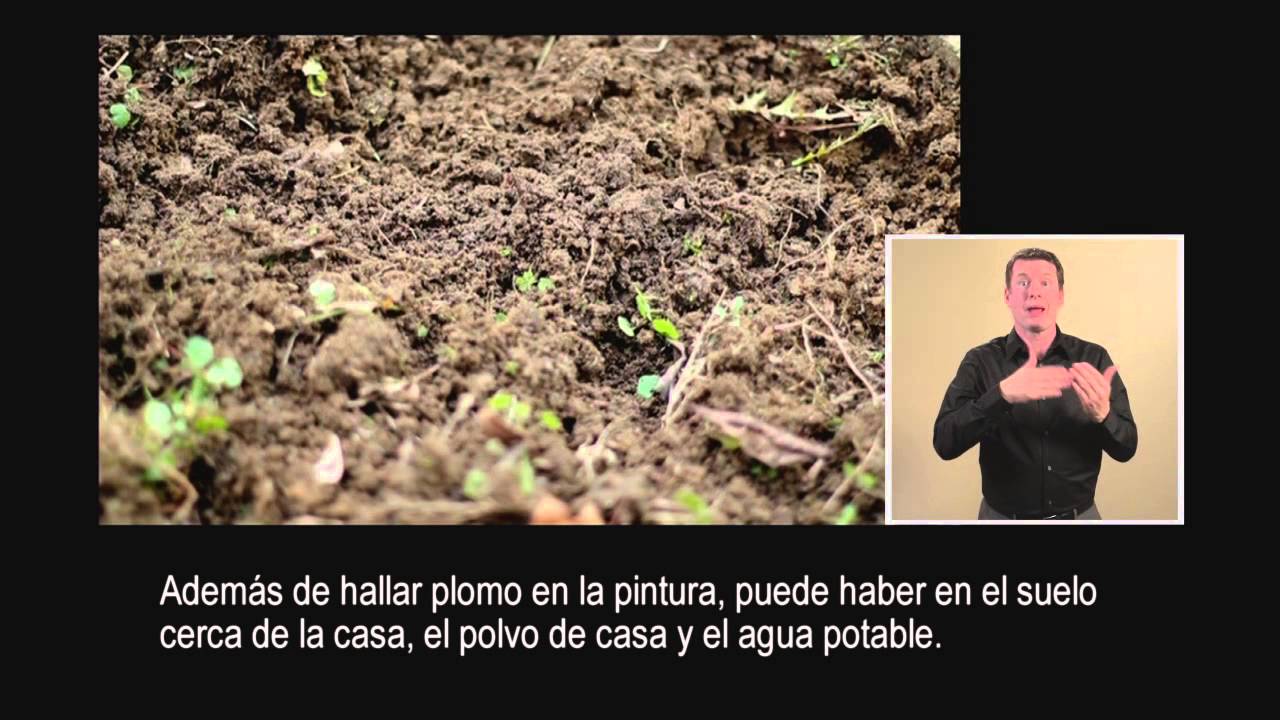 Lead SPANISH W ASL - YouTube