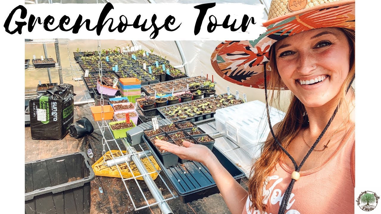 Greenhouse Tour 2021 |VLOG| Whispering Willow Farm - YouTube