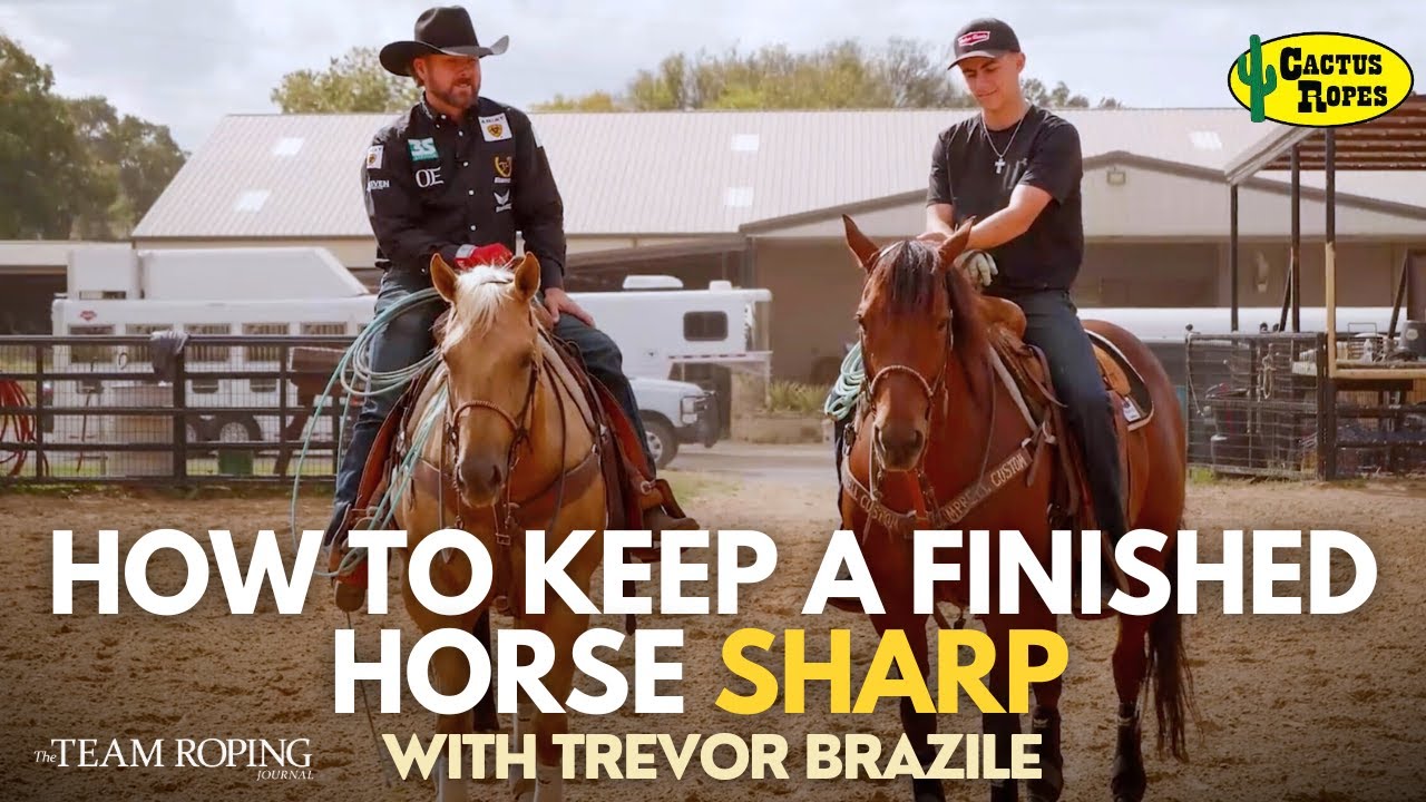 How to Keep a Finished Horse Sharp - YouTube