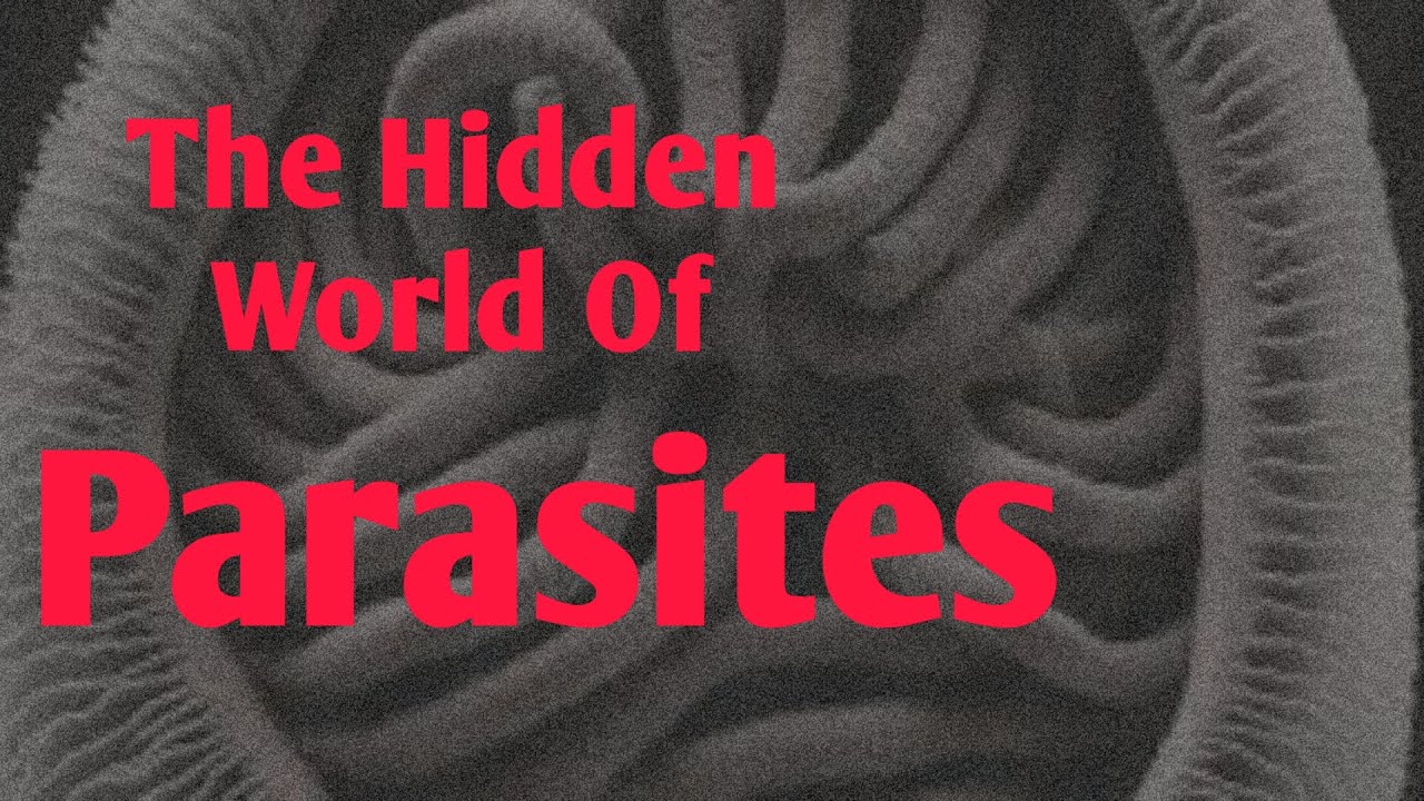 What is Parasitology - Exploring the fascinating world of Parasites ...