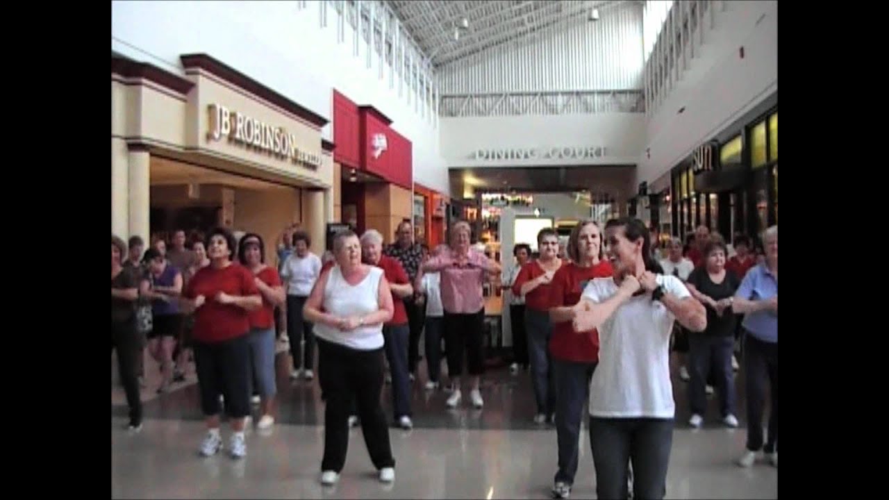 Senior Flash Mob - Chicago Ridge Mall - YouTube