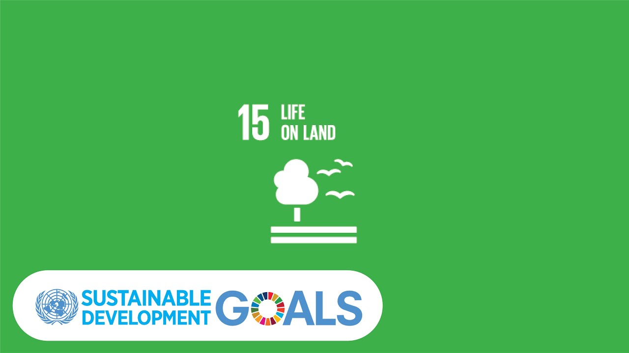 Moodboard 4 SDGs - SDG 15 (Festival dello Sviluppo Sostenibile 2022 ...