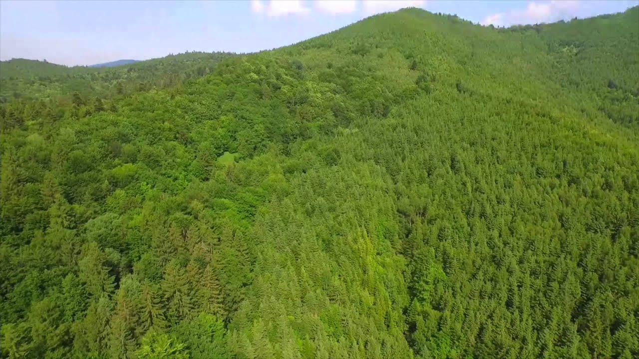 Pasul Oituz - YouTube