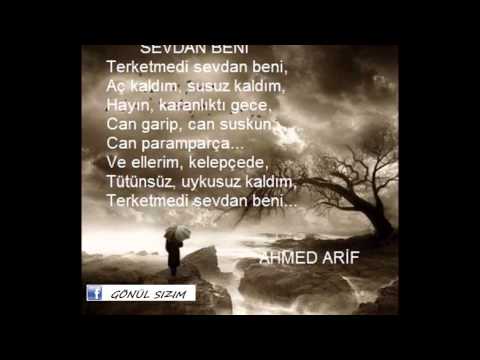 Ah Cekip Aleme -  Aysun Gültekin