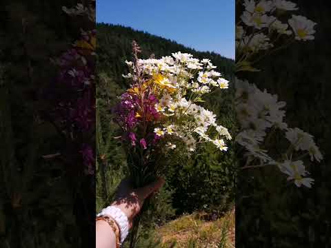 Açınca Baharın Rengarenk gülleri