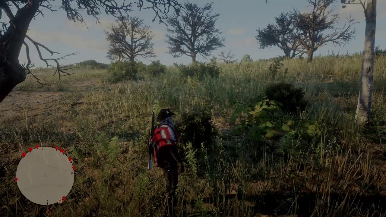 RDR2 online new update patch notes - YouTube