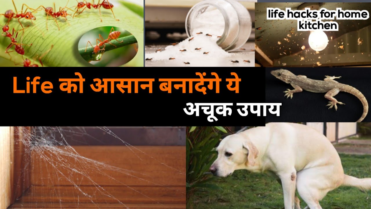 Life को आसान बनादेंगे ये 5 अचूक उपाय : life hacks for home kitchen ...