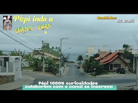 Turismo em Santa Catarina, Pépi indo a Quatro Ilhas, Bombinhas, Brasil ...