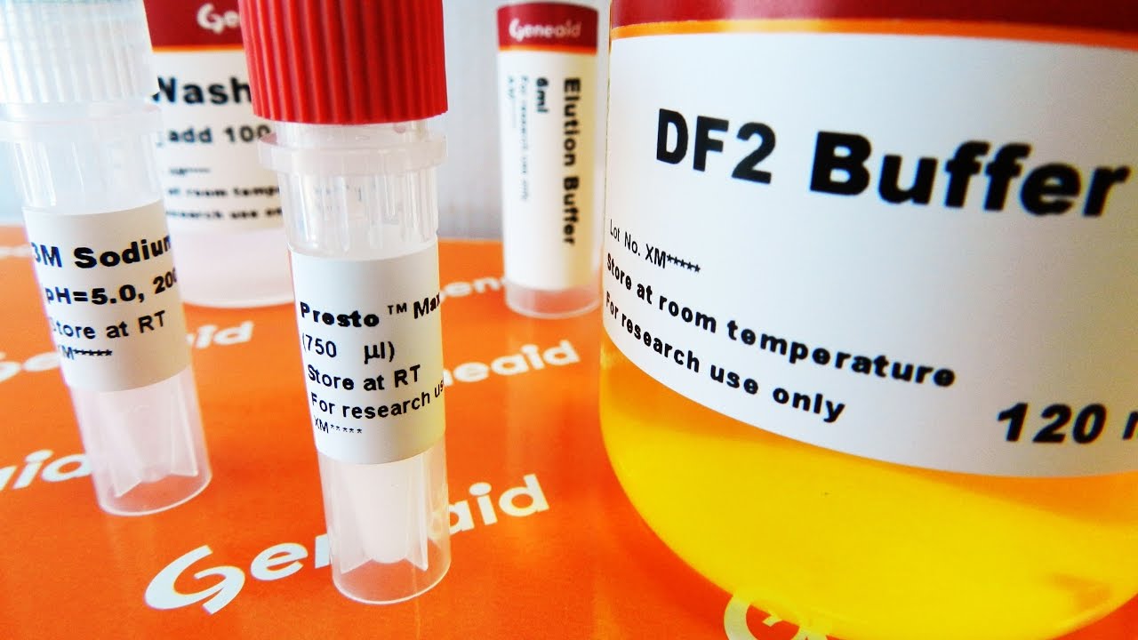 Large DNA Fragments Gel Extraction Kit - YouTube