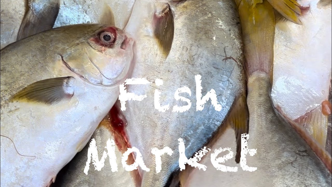 Big Fish Market | H Mart | Fish Lovers | Live Fish | Denver , Colorado ...