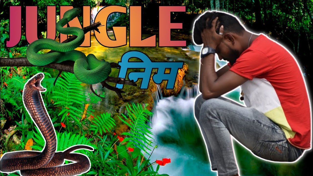 JUNGLE NEEM🐅🐅🐅 - YouTube