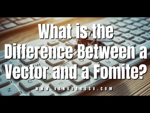 What is the Difference Between a Vector and a Fomite - YouTube
