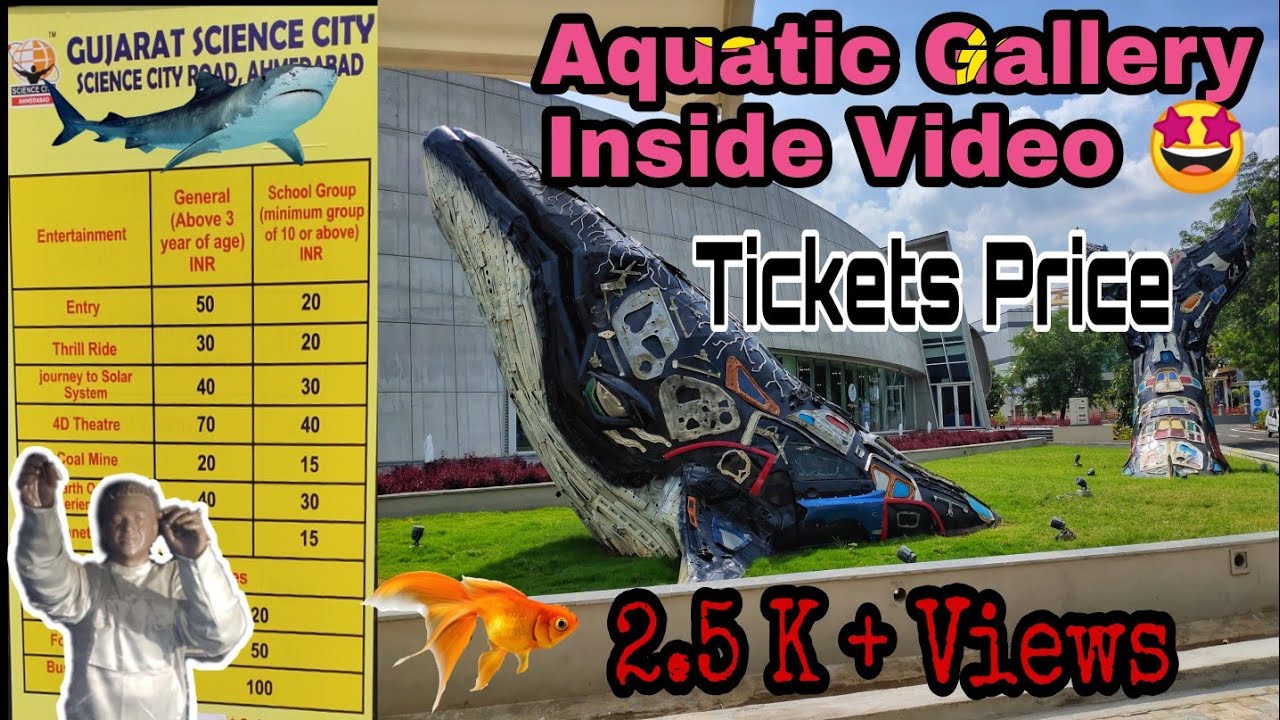 Aquatic Gallery in Science City Ahmedabad. Biggest 3D Aquarium in India ...