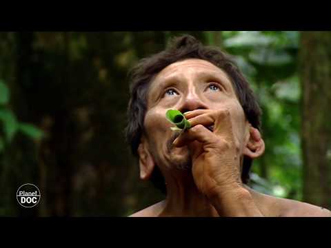 Huaorani: Amazon Tribe 4