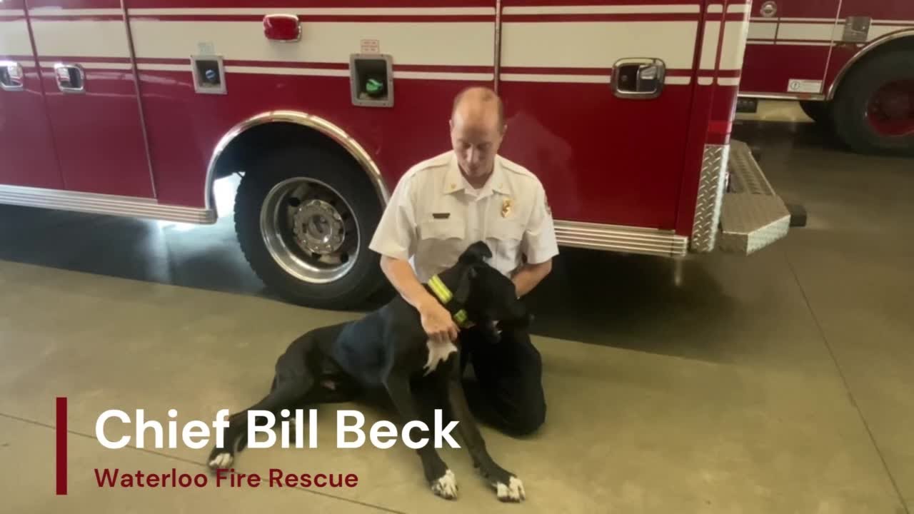 Chief Bill Beck and Franklin the dog - YouTube
