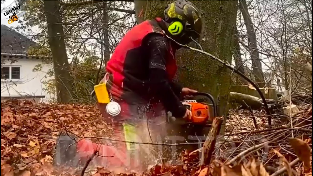 tânsky - Super saw 500i continuously cuts down a series of tree stumps ...
