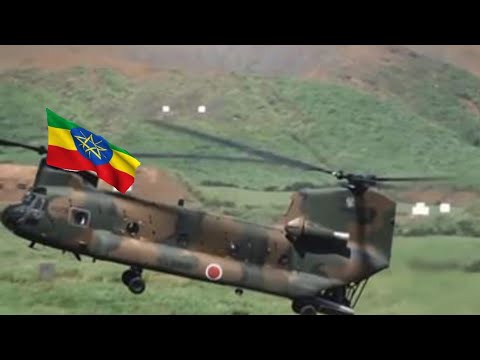 ODUU Hatatama BBC AFAAN oromo November 7, 2020 - YouTube