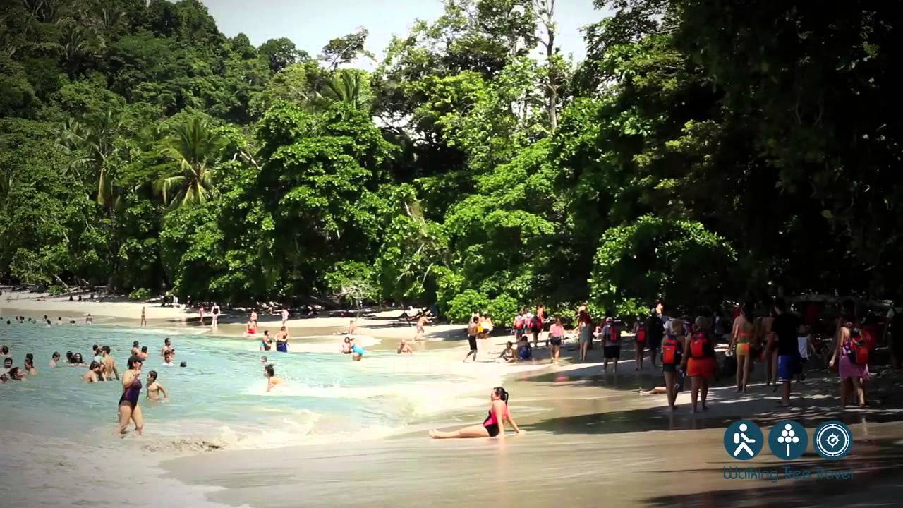 Walking Tree Travel⎪Costa Rica - YouTube