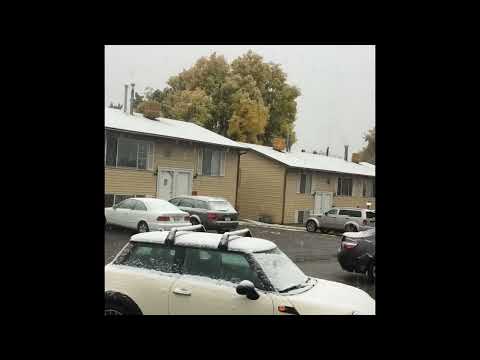 Hardware Ranch | Heavy Snowfall | Elk | Sleigh Ride - YouTube