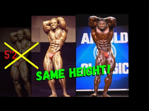 Thierry Pastel vs Andrew Jacked *THE SAME HEIGHT* - YouTube