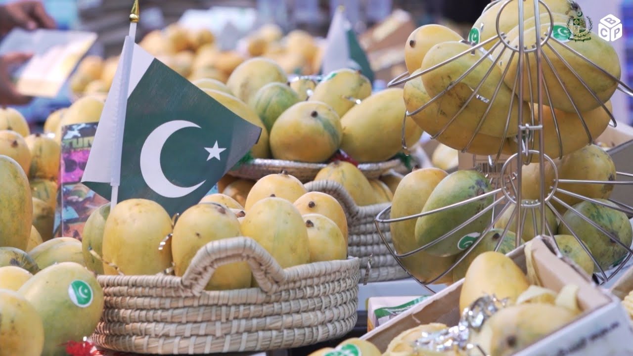 Pakistani Mango Festival, Riyadh - Saudi Arabia - YouTube