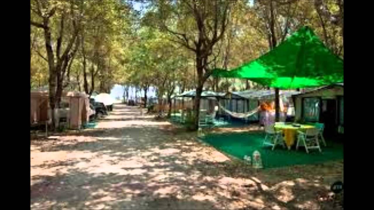 Thalatta Kalamitsi Camp - YouTube