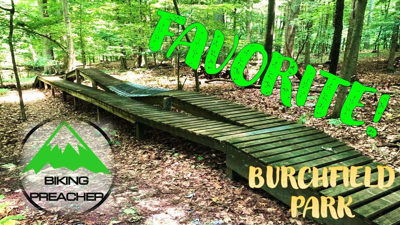 A Favorite, Baby Groundhogs, and Tons of Wooden Features! (Burchfield ...