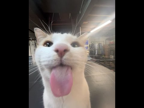 Woz time👻⚡️⚡️