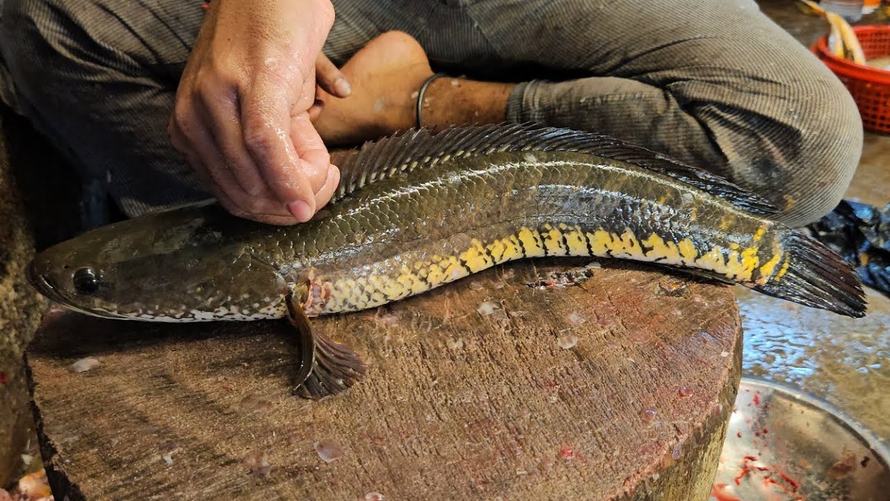 😱😱Ctg Cutting Fisher for(Chowk Bazar) 1kg Sohail fish big fish Fish ...