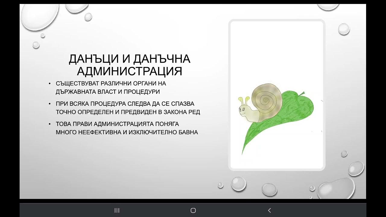 Данъци и данъчна адмистрация Как работи системата в България Youtube