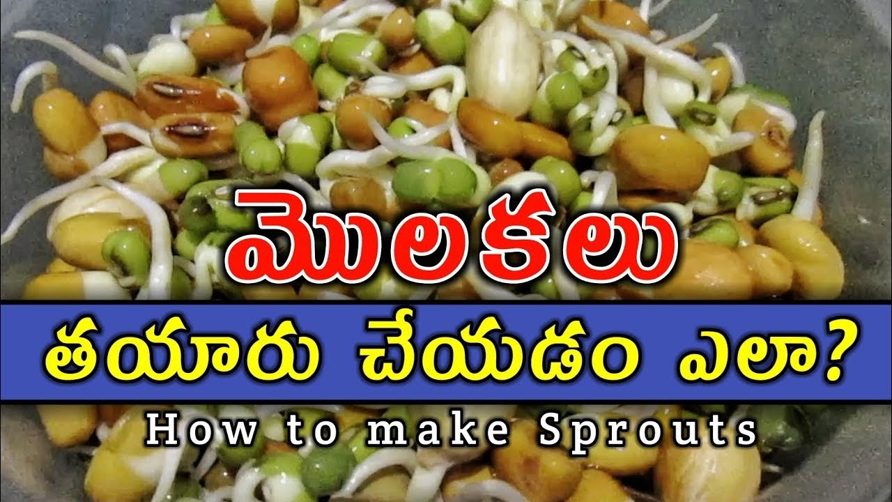 యవ్వన రహస్యం ఈ మొలకలు | Making Process in End Screen | How to make ...