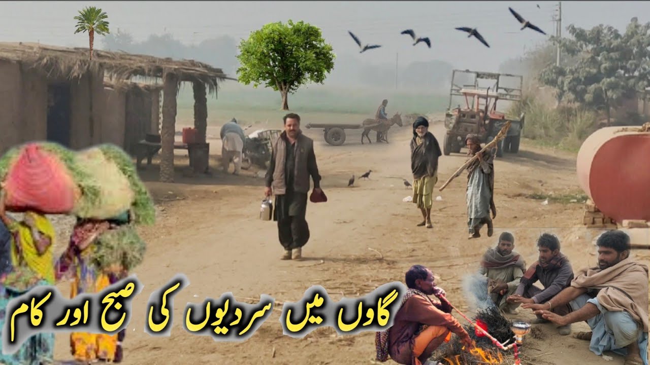 Gaon Mein Subah Ki Sardi aur kam|Traditional Village Life in Pakistan ...