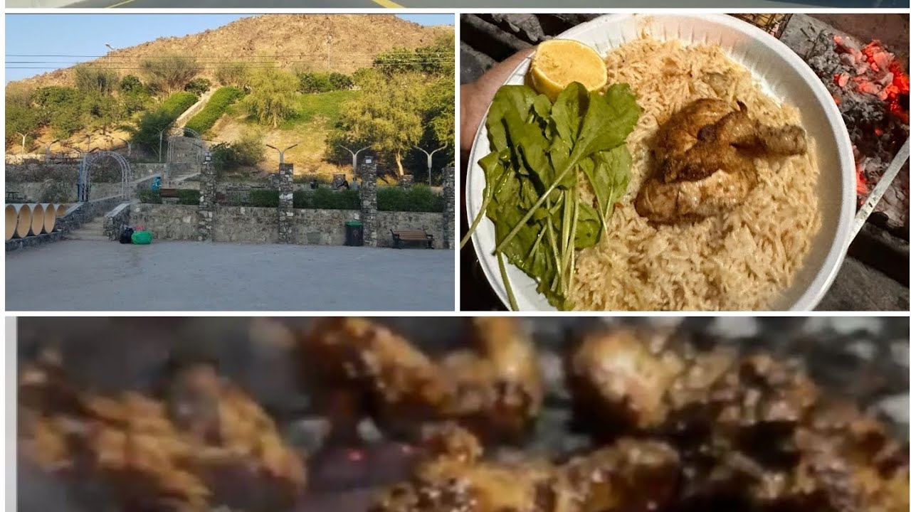 Hamne pakra wadi shawka mein frog | night stay in 11°C - YouTube