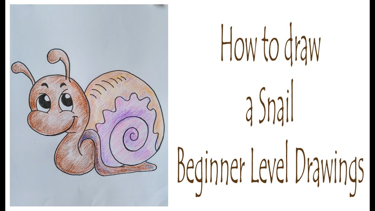 How to draw a 🐌 Snail - Beginner Level Drawing - YouTube