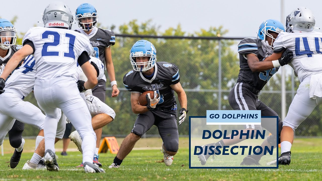 Dolphin Dissection - YouTube