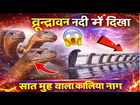 🐍🌊 वृन्दावन की नदी में दिखा सात मुंह वाला कालिया नाग? 😱 सच या वायरल धोखा! Kaliya nag real ya fake