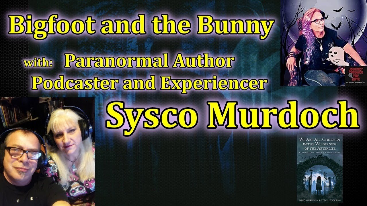 Take a Guided Tour of the Afterlife with Researcher and Empath Sysco ...