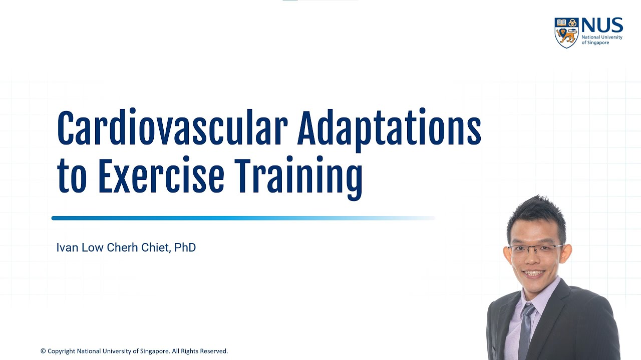 Cardiovascular Adaptations to Exercise Training - YouTube