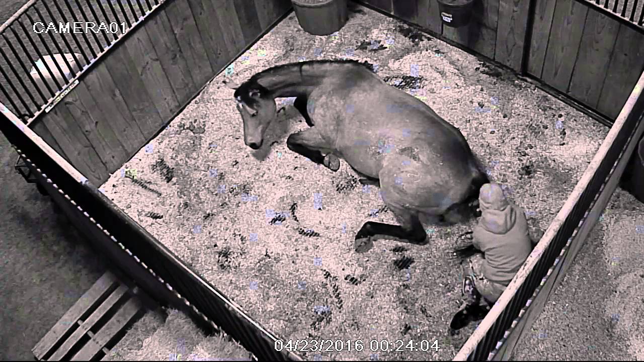 Difficult birth - YouTube