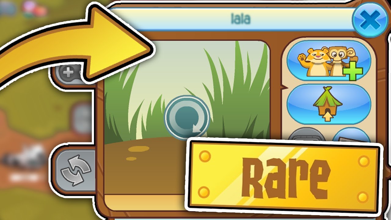 My Brand New RARE Animal Jam Username - YouTube